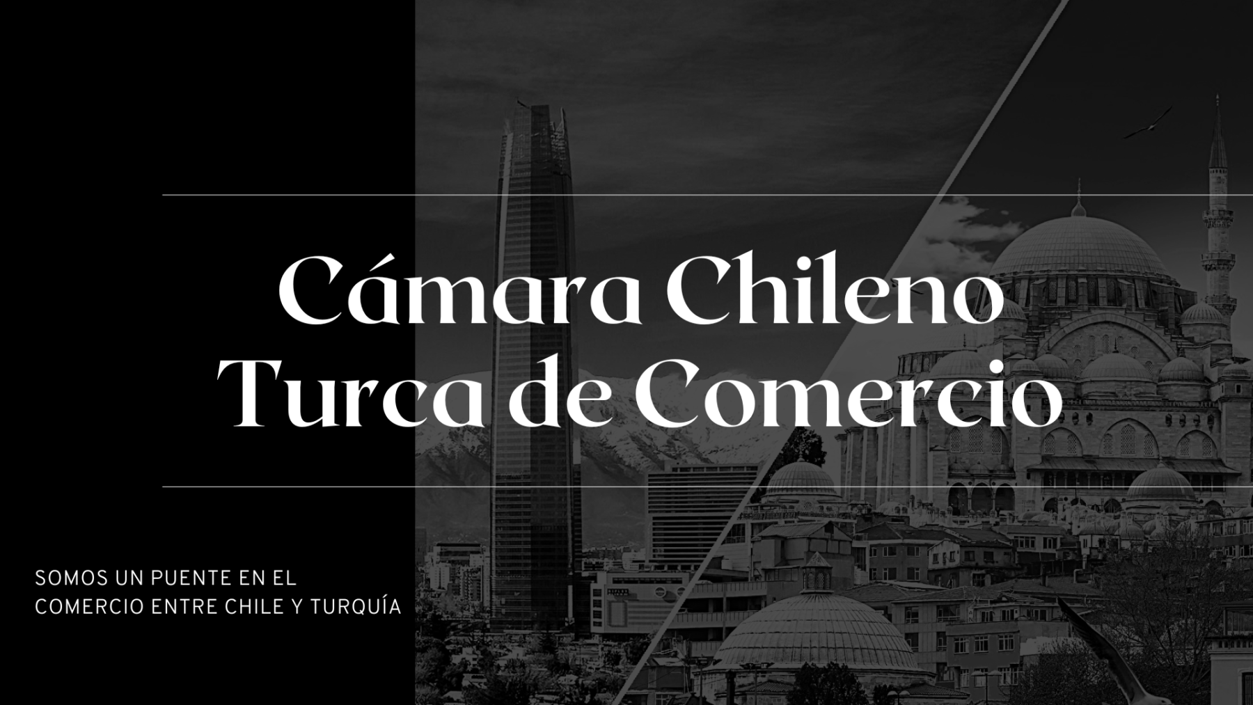 Cámara Chileno Turca de Comercio – CCTC